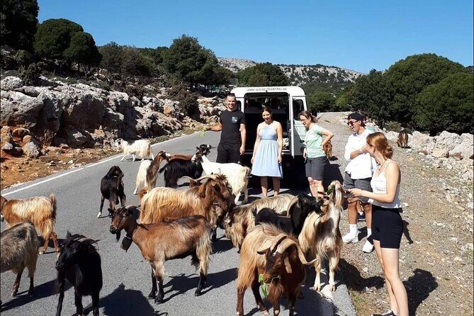 4x4 Safari Tour South Crete Agiofarago Matala - The Practicalities and Considerations