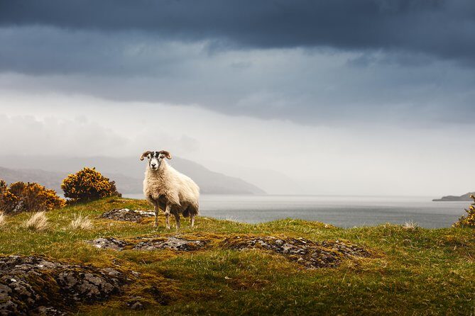 5-Day Iona, Mull and the Isle of Skye Small-Group Tour from Edinburgh - What’s the Value?