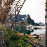 5 Highlights Of Lofoten From Svolvær - Practical Aspects and What to Expect