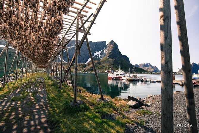 5 Highlights Of Lofoten From Svolvær - Practical Aspects and What to Expect