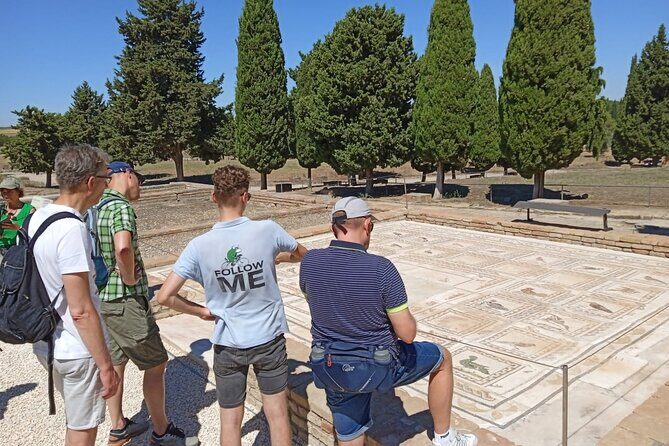 5 hour Electric Bike Tour to the Ruins of Italica - An In-Depth Look at the Tour Experience