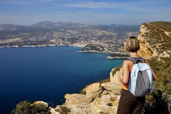 5-Hour Private Sightseeing Tour of the Provence from Marseille in Luxury Car - Who Will Love This Tour?