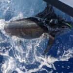 5 Hours Private Fishing Charter in Kailua-Kona - What to Expect on the Day