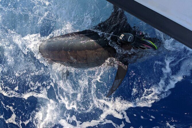 5 Hours Private Fishing Charter in Kailua-Kona - What to Expect on the Day