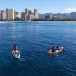 5 in 1 Deluxe Cruise: Turtle Snorkeling, Activities and Pick-Up - In-Depth Look at the Itinerary