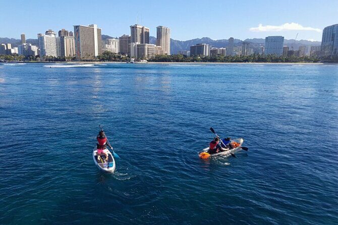 5 in 1 Deluxe Cruise: Turtle Snorkeling, Activities and Pick-Up - In-Depth Look at the Itinerary