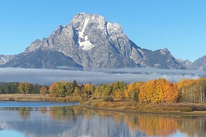 5 Person Full Day PRIVATE Yellowstone Tour- Picnic, Binoculars, Scope, Huge Van - Key Points