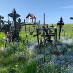 5,5 Hour Shared Tour to Hill of Crosses from Riga - Analyzing the Value