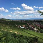 5H00 ALSACE PRIVATE TOUR-Castle, Villages, Wine, Friendly Driver - An In-Depth Look at the Alsace Private Tour