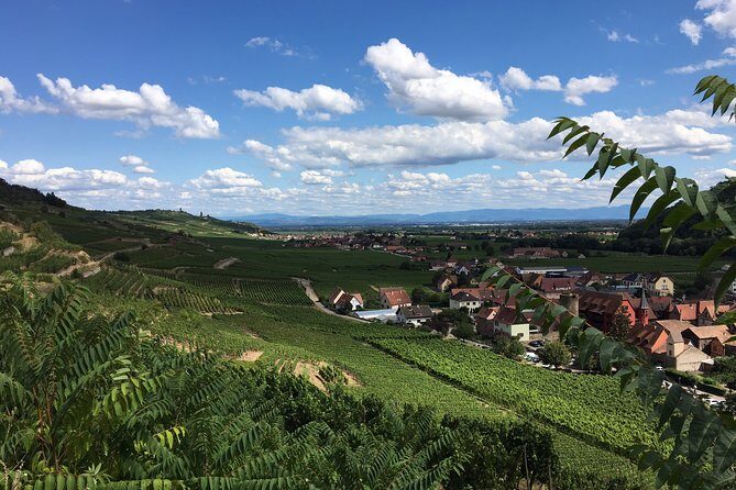 5H00 ALSACE PRIVATE TOUR-Castle, Villages, Wine, Friendly Driver - An In-Depth Look at the Alsace Private Tour