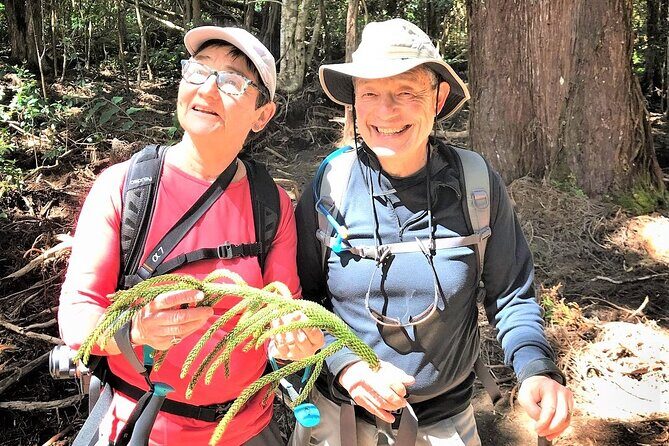 6-7 Hours Private Kauai's Hidden Gems Experience with Snacks - Transportation and Logistics