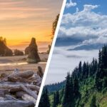 6-Day Backpacking Summer Camp Adventure in Olympic National Park - Transportation and Logistics