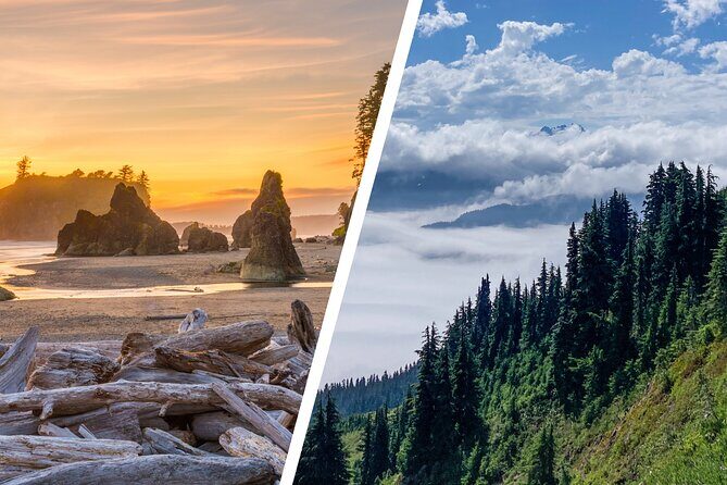 6-Day Backpacking Summer Camp Adventure in Olympic National Park - Transportation and Logistics