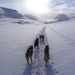 6 Day Winter Wonderland Tour in Yellowstone National Park - The Value of the Tour