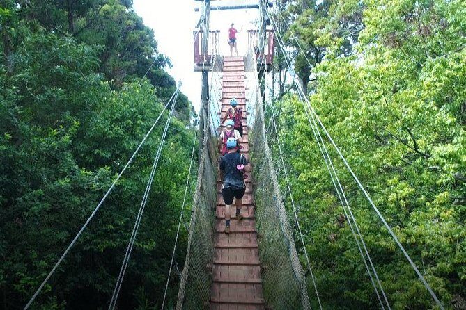 6 Dual-Zipline Mountain Adventure in Maui - The Itinerary Breakdown