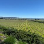 6 Hour Custom Napa or Sonoma Private Wine Tour - Exploring the Route and Stops