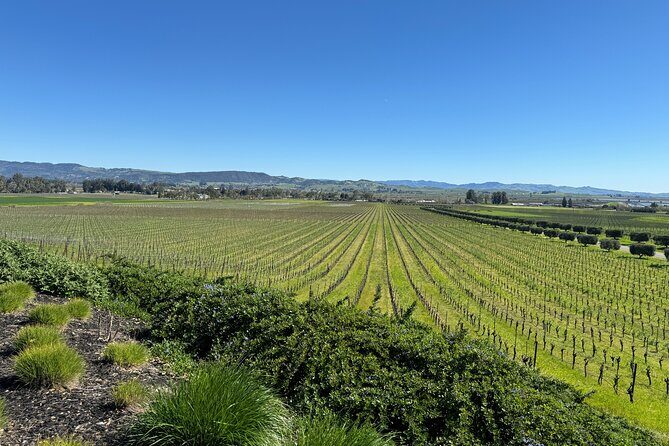 6 Hour Custom Napa or Sonoma Private Wine Tour - Exploring the Route and Stops