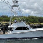 6 Hour Fishing Charter - Authentic Experiences and Guest Feedback