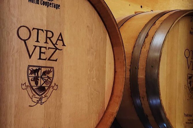 6 Hour Private Cabernet Sauvignon Wine Tour in Napa Valley - The Sum Up: Is This Tour Right for You?