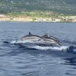 6 Hour Private Charter in Kona - A Detailed Look at the Kona Private Charter