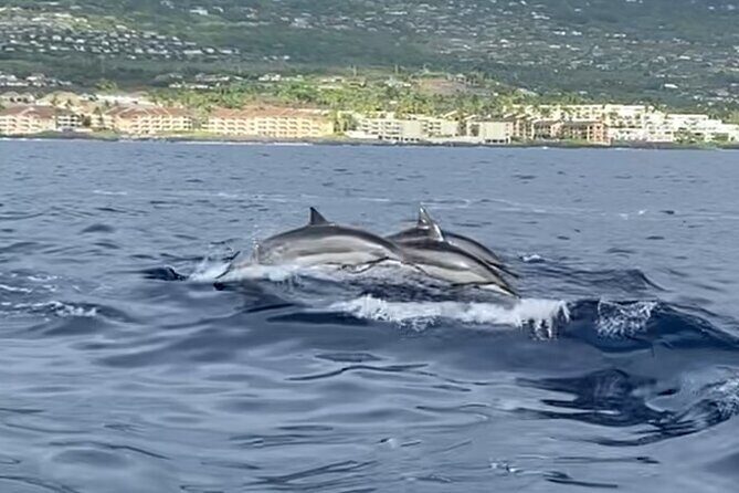 6 Hour Private Charter in Kona - A Detailed Look at the Kona Private Charter