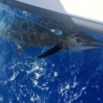6 Hour Private Fishing Charter Kona, Hawaii - The Value of This Private Fishing Experience
