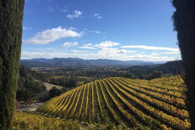 6-Hour Private Wine Country Tour of Napa Valley (up to 6 people) in Large SUV - Why the Reviews Speak to Quality