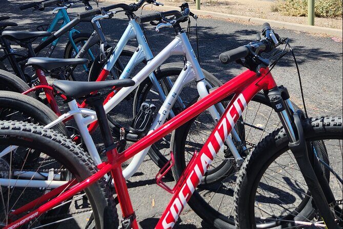 6-Hour Regular Bike Rental From Tucson - What It Means for Your Adventure