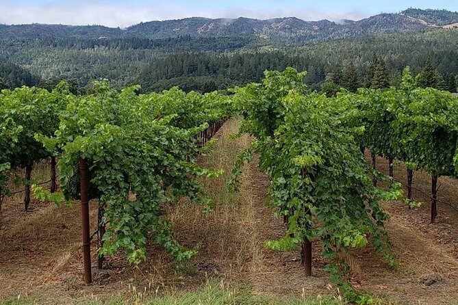 6 Hour Sonoma Wine Tasting Tour from San Francisco - FAQ