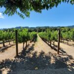 6-Hour Sparkling Wine Tour of Napa Valley - Authentic Experiences and Traveler Perspectives
