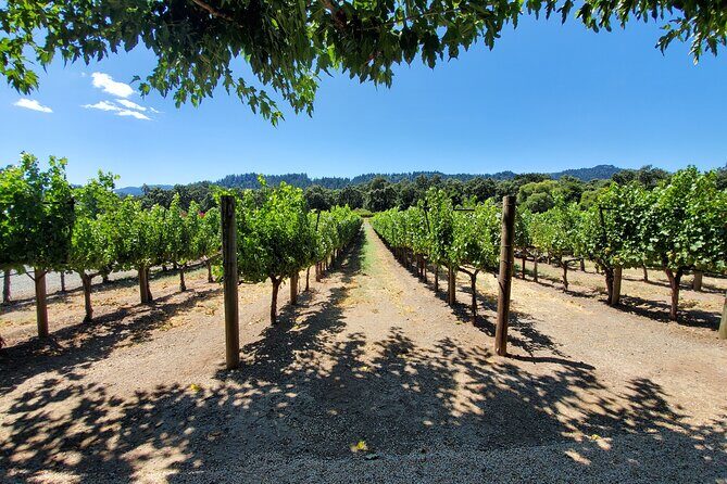 6-Hour Sparkling Wine Tour of Napa Valley - Authentic Experiences and Traveler Perspectives