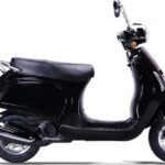 6 Hours, 2 Passengers Retro "Lucky " 49cc - Key Points