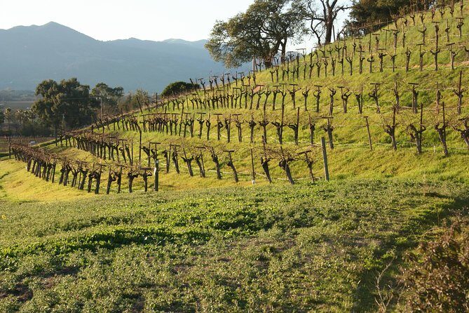 6-Hours Private Napa Wine Tour in a MKT sedan ( 2 Passengers) - Who Will Appreciate This Experience?
