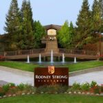 6 Hours Private Wine Tour in Healdsburg Featuring Coppola Winery - What to Expect from the Private Healdsburg Wine Tour