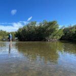 6-Hr Tropical Mangroves, Coastal River and Ocean Wildlife Watch - What Travelers Love About This Tour