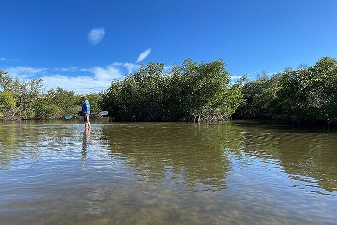 6-Hr Tropical Mangroves, Coastal River and Ocean Wildlife Watch - What Travelers Love About This Tour