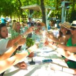6 to 11 Guests Fredericksburg Private Van 5 hour Wine Tour - How the Price Reflects the Experience