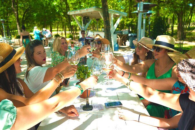 6 to 11 Guests Fredericksburg Private Van 5 hour Wine Tour - How the Price Reflects the Experience