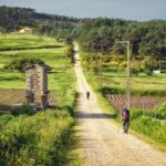 7-Day Portuguese Camino de Santiago Tour from Tui - Final Thoughts: Who Should Consider This Tour?