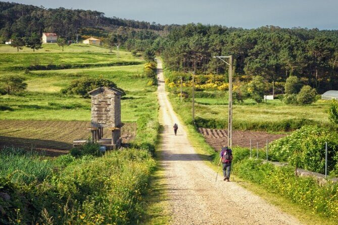 7-Day Portuguese Camino de Santiago Tour from Tui - Final Thoughts: Who Should Consider This Tour?