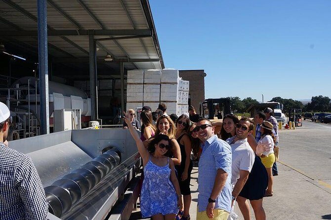 7 Hour Private Santa Barbara Wine Tour - What to Expect: A Detailed Breakdown