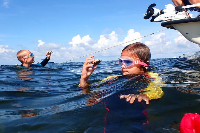 7 Hour Private Scalloping Package in Mangrove Point - What to Expect from the Tour: A Step-by-Step Breakdown