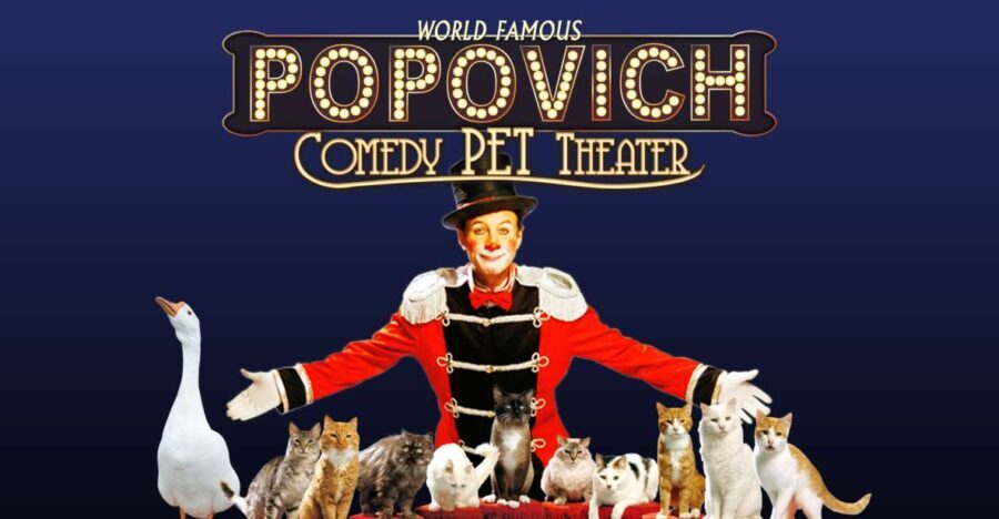 75-Minute Popovich Comedy Pet Theater in Las Vegas - What You Can Expect from the Popovich Comedy Pet Theater