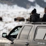 8 Hour Combination Snowshoe & Wildlife Viewing in Grand Teton National Park - Authenticity and Quality