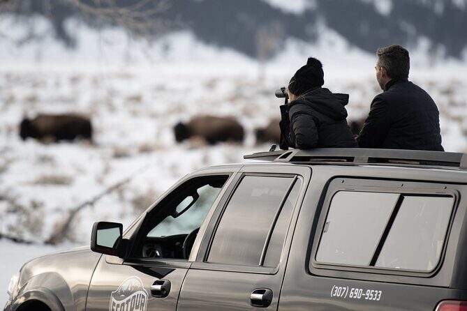 8 Hour Combination Snowshoe & Wildlife Viewing in Grand Teton National Park - Authenticity and Quality