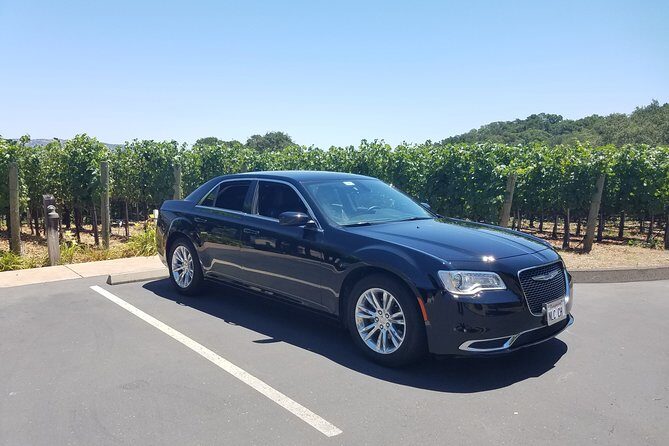 8 Hour Custom Wine Country Tour - What Travelers Say