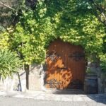 8 Hour Private Tour in Napa Valley Winery - What Travelers Are Saying: Authentic Perspectives