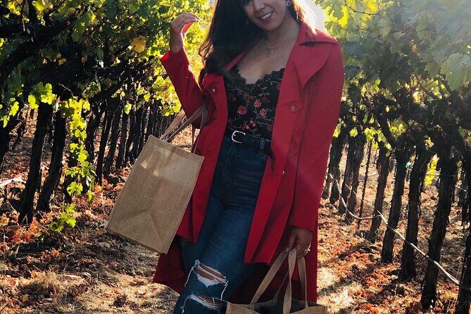 8 Hours 12 Passengers limo bus for Napa or Sonoma wine tour - Itinerary Breakdown: What to Expect