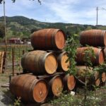 8-Hours Private SUV (up to 6 Passengers) San Francisco to Napa Valley Wine Tour - Detailed Breakdown of the Itinerary