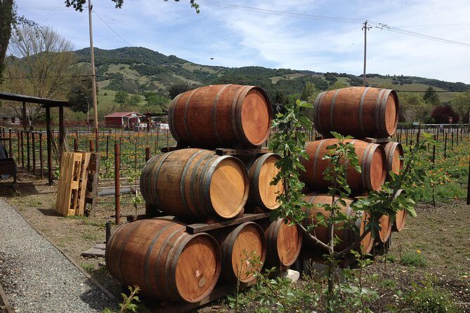8-Hours Private SUV (up to 6 Passengers) San Francisco to Napa Valley Wine Tour - Detailed Breakdown of the Itinerary